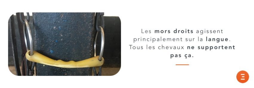 5 min pour comprendre les différences d'action entre les mors ...