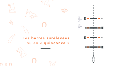 7 exercices pour remettre son cheval au travail | Equisense - Blog