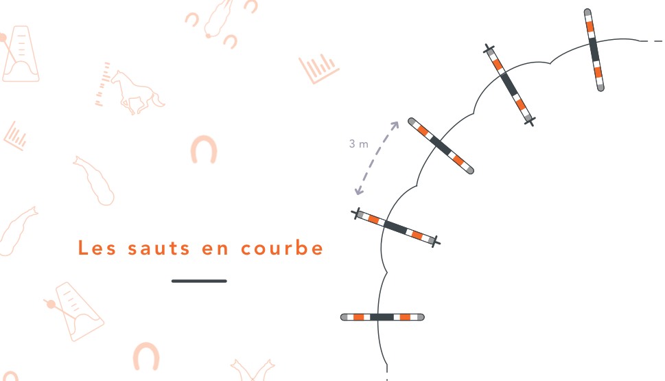 5 exercices de renforcement musculaire à l'obstacle | Equisense - Blog