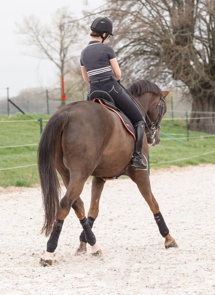 Seitengänge reiten - Die Vorteile für Reiter und Pferd