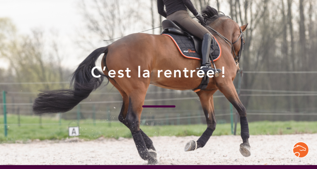 7 exercices pour remettre son cheval au travail | Equisense - Blog