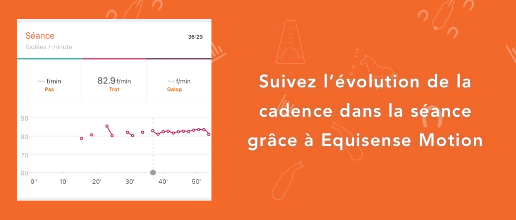 4 exercices pour développer la propulsion | Equisense - Blog