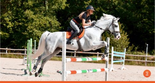 4 Gridwork Exercises that you have to try | Equisense - Blog