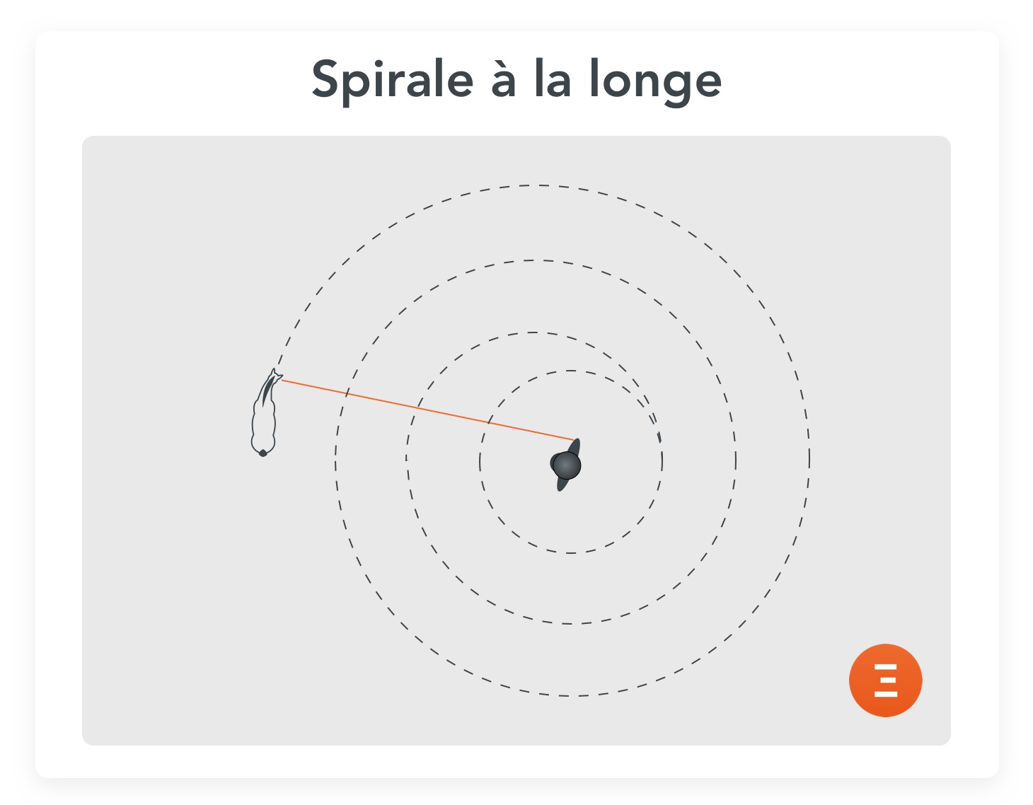 7 exercices pour remettre son cheval au travail | Equisense - Blog