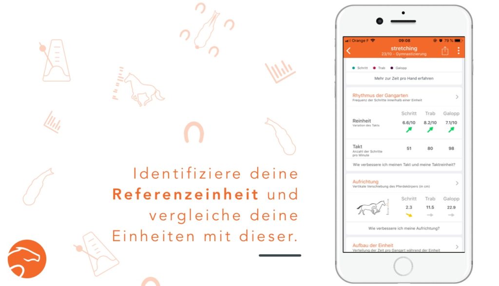 Du reistest häufig allein? 4 Gründe, den Equisense Motion zu verwenden ...