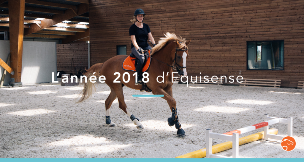 L'année 2018 d'Equisense en 20 chiffres incroyables | Equisense - Blog