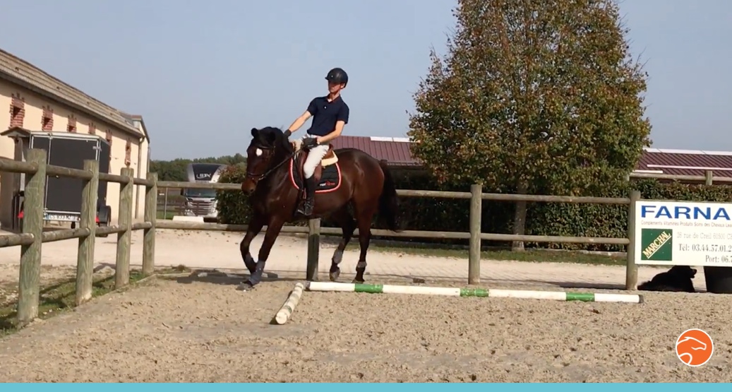 4 exercices pour améliorer la direction de votre cheval | Equisense - Blog