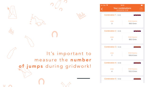 4 Gridwork Exercises that you have to try | Equisense - Blog
