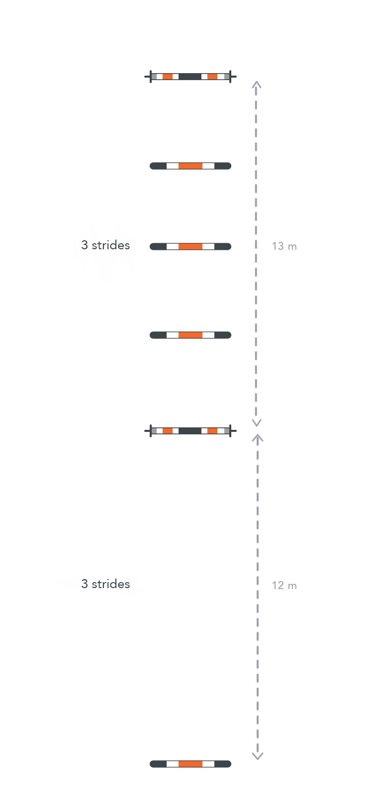 4 Gridwork Exercises that you have to try | Equisense - Blog