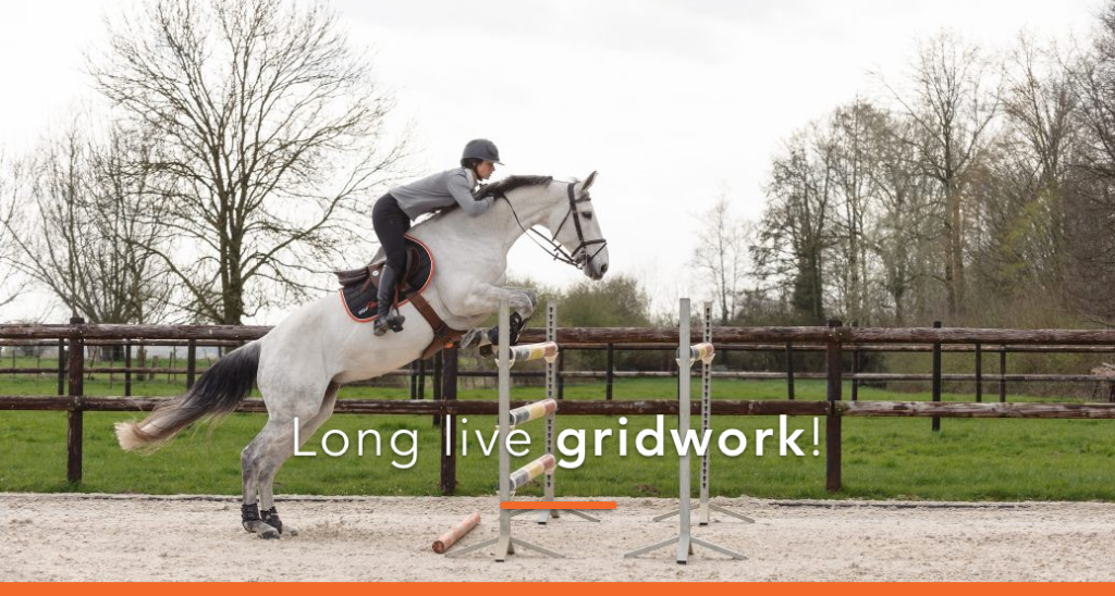 4 Gridwork Exercises that you have to try | Equisense - Blog