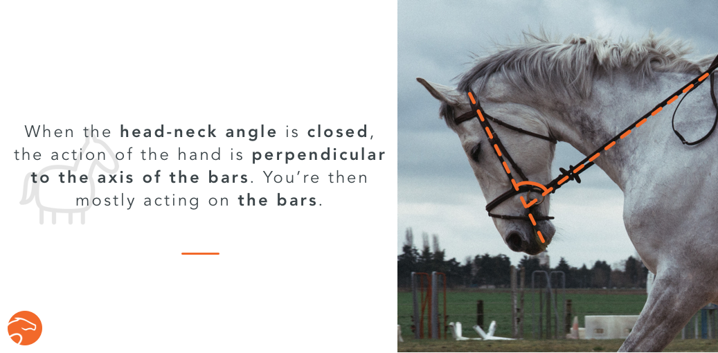 5 Minutes to Understand Bit fitting for your Horse | Equisense - Blog