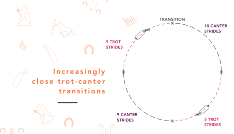 4 Dressage Exercises to Build your Horse's Muscles | Equisense - Blog