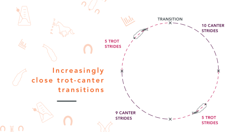 4 Dressage Exercises to Build your Horse's Muscles | Equisense - Blog