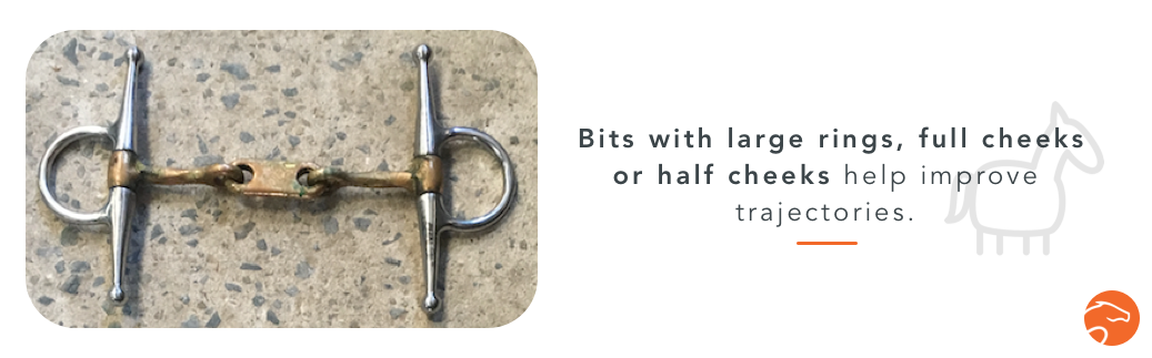 5 Minutes to Understand Bit fitting for your Horse | Equisense - Blog