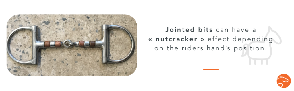 5 Minutes to Understand Bit fitting for your Horse | Equisense - Blog