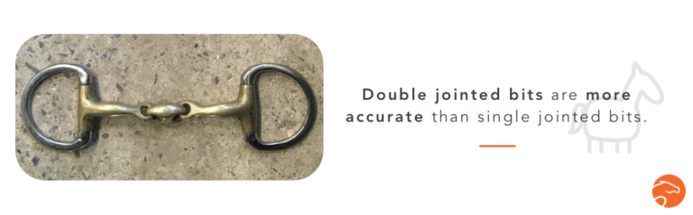 5 Minutes to Understand Bit fitting for your Horse | Equisense - Blog