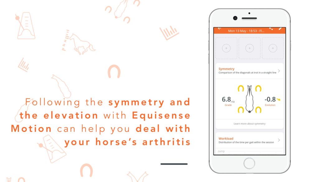 4 Tips to Deal with your Horse’s Arthritis | Equisense - Blog
