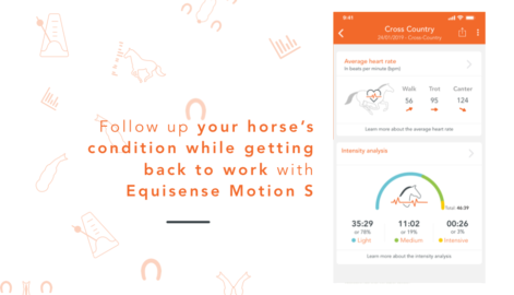 7 Exercises to get your Horse Back to Work | Equisense - Blog
