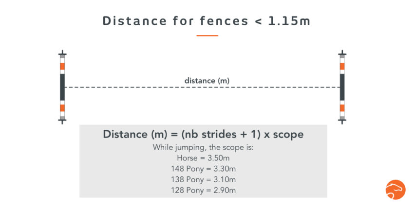 Which Distance Should I put Between Ground Poles or Fences? | Equisense ...