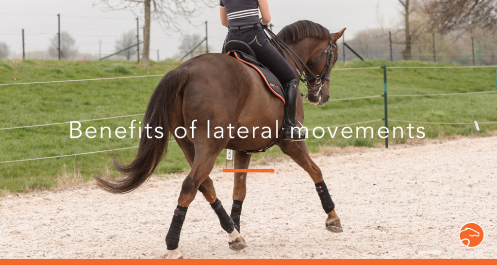 7 Reasons to Train Lateral Movements Every day | Equisense - Blog