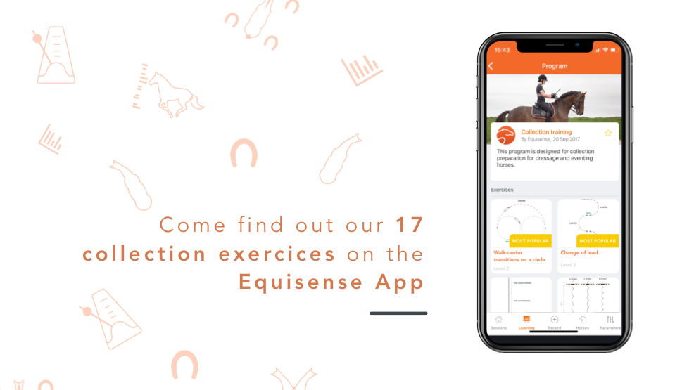 10 Things you did not Know About Collecting Your Horse | Equisense - Blog