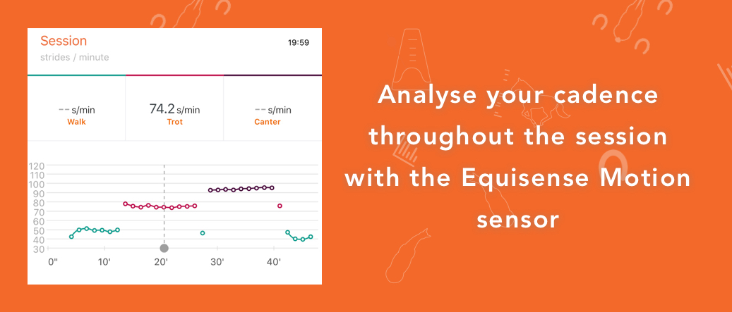 4 Training Exercises to Improve Your Horse's Propulsion | Equisense - Blog