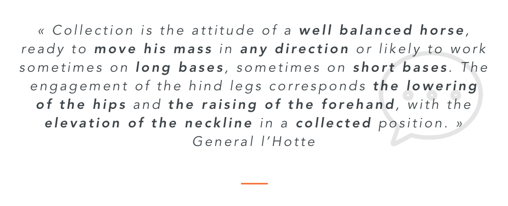 10 Things you did not Know About Collecting Your Horse | Equisense - Blog