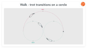 4 Training Exercises to Improve Your Horse's Propulsion | Equisense - Blog