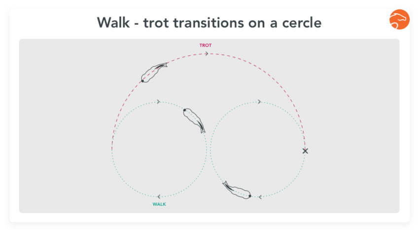 4 Training Exercises to Improve Your Horse's Propulsion | Equisense - Blog