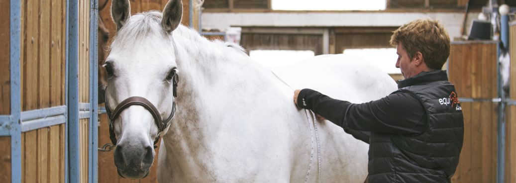 Voici ce que risque votre cheval s'il est en surpoids | Equisense - Blog