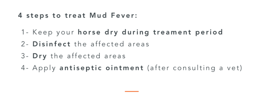 How to get rid of mud fever | Equisense - Blog