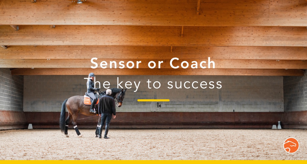 Sensor or Coach - why choose? | Equisense - Blog