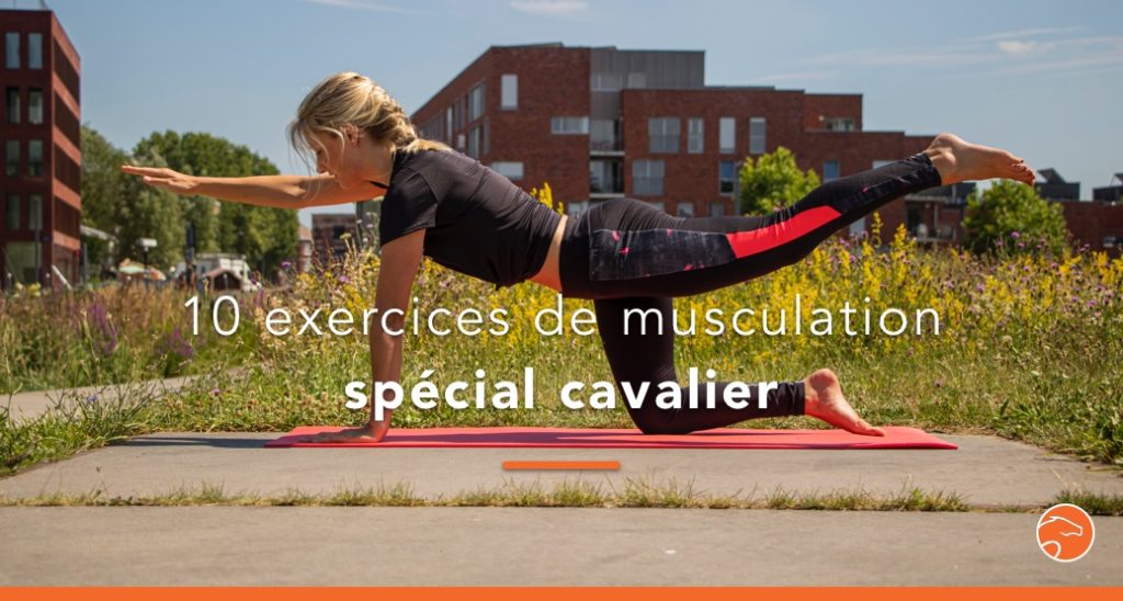 10 exercices de musculation spécial cavalier | Equisense - Blog