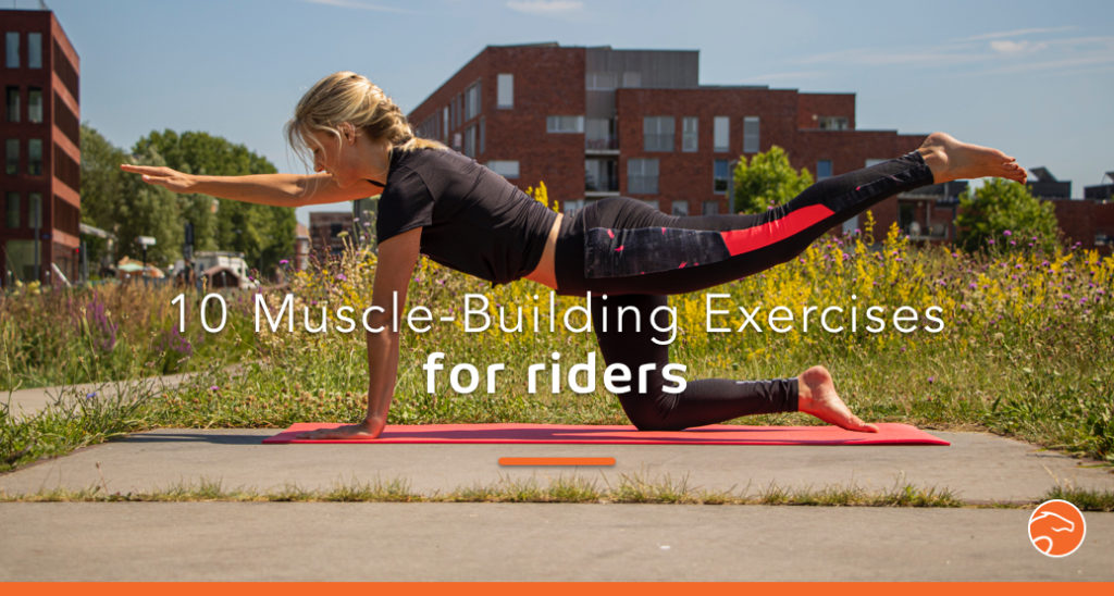 10 Strength Training Exercises for Riders | Equisense - Blog