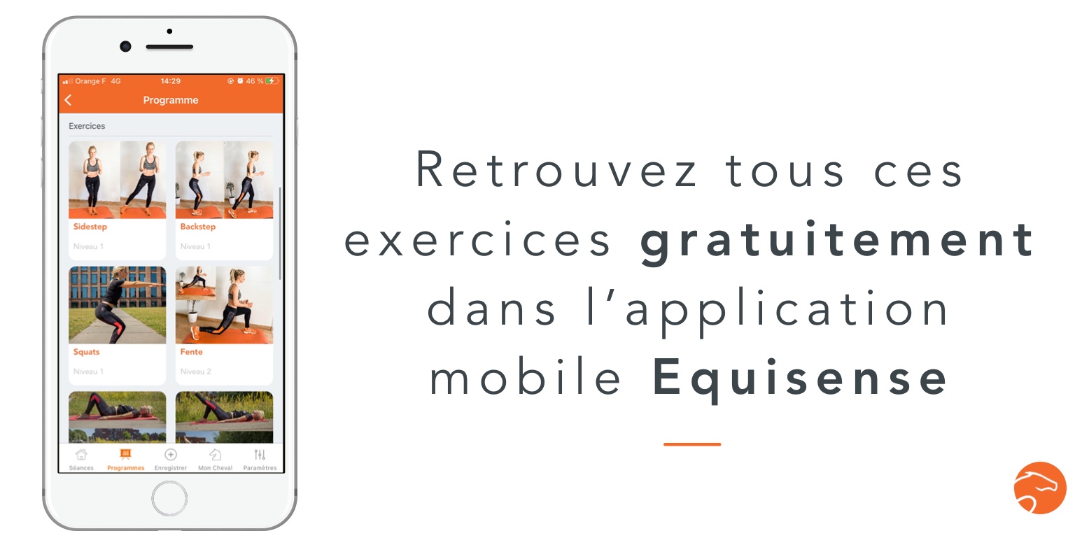 10 exercices de musculation spécial cavalier | Equisense - Blog
