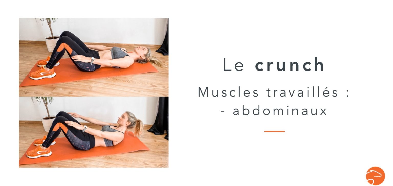 10 exercices de musculation spécial cavalier | Equisense - Blog