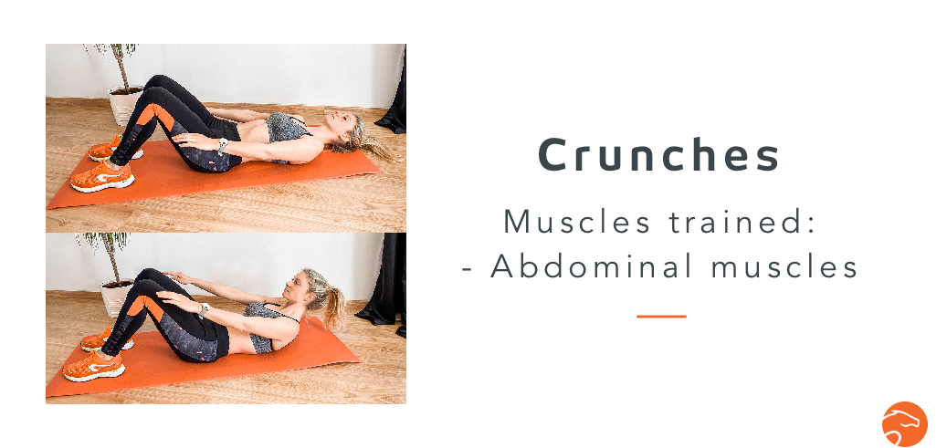 10 Strength Training Exercises for Riders | Equisense - Blog