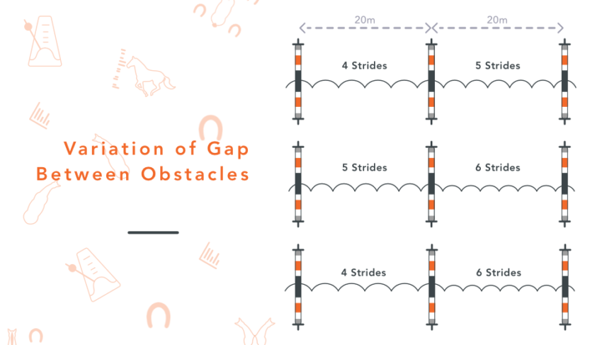 7 Exercises to Prepare for your Jump-Off! | Equisense - Blog