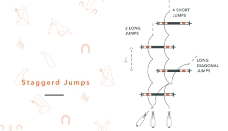 7 Exercises to Prepare for your Jump-Off! | Equisense - Blog