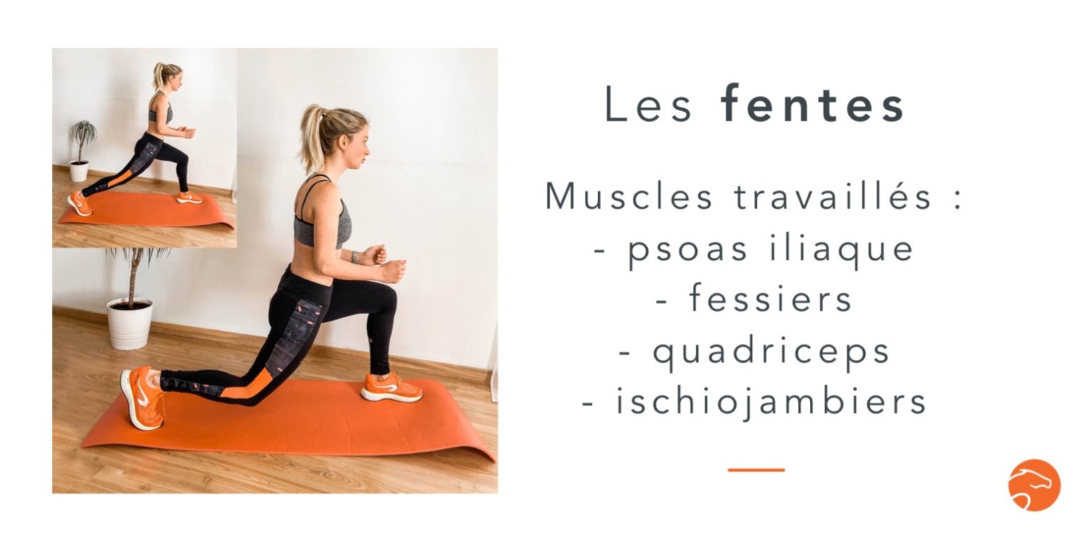 10 exercices de musculation spécial cavalier | Equisense - Blog