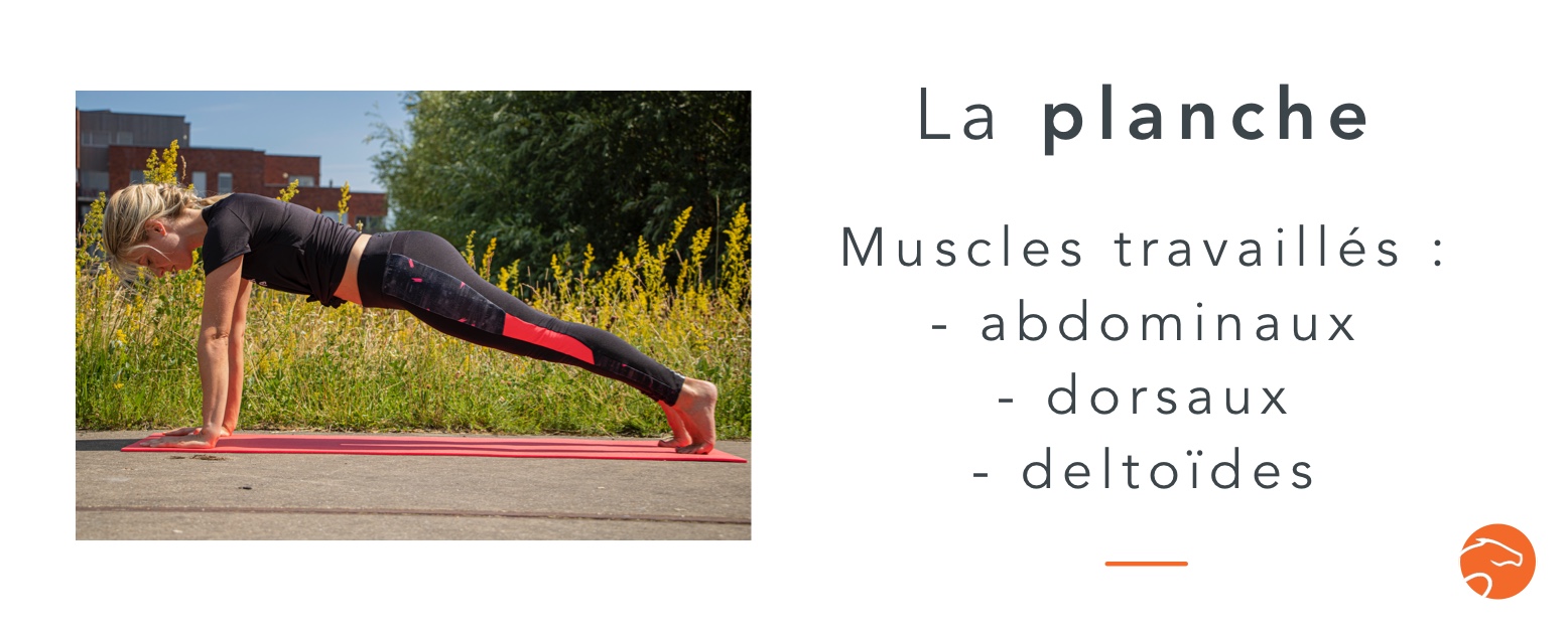10 exercices de musculation spécial cavalier | Equisense - Blog