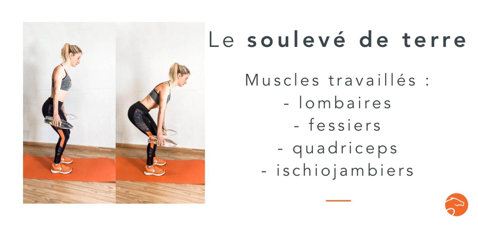 10 exercices de musculation spécial cavalier | Equisense - Blog