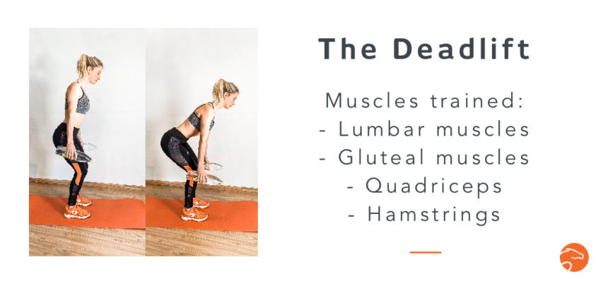 10 Strength Training Exercises for Riders | Equisense - Blog