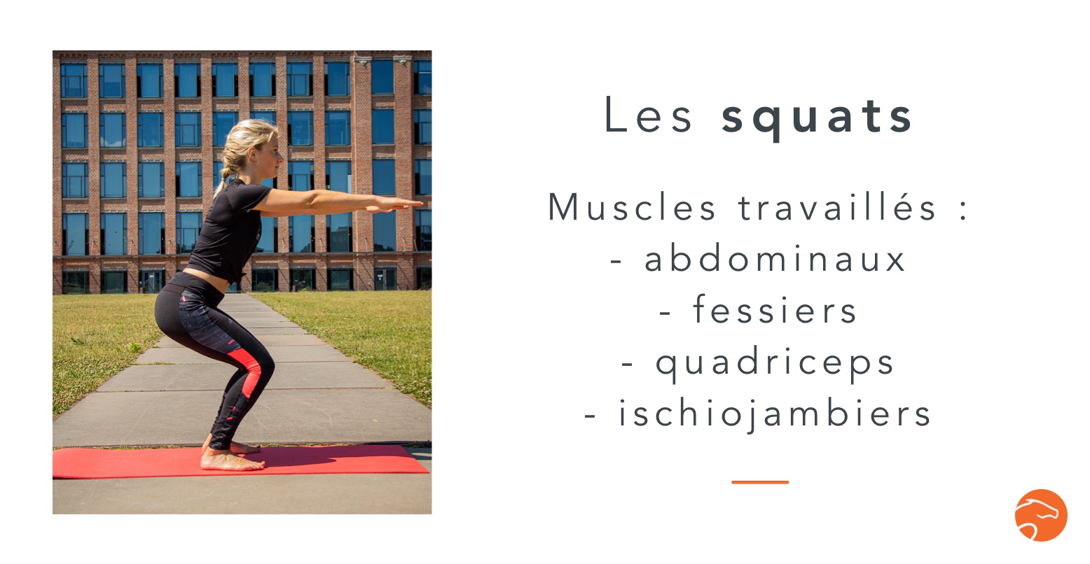 10 exercices de musculation spécial cavalier | Equisense - Blog