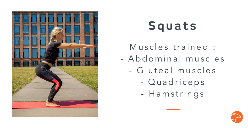 10 Strength Training Exercises for Riders | Equisense - Blog