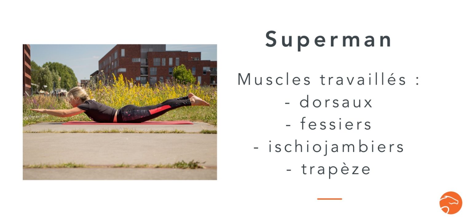 10 exercices de musculation spécial cavalier | Equisense - Blog