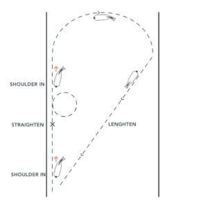 3 Exercises to Improve Your Dressage in Line with the Training Pyramid