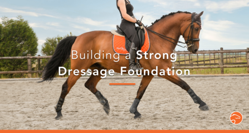 3 Exercises to Improve Your Dressage in Line with the Training Pyramid