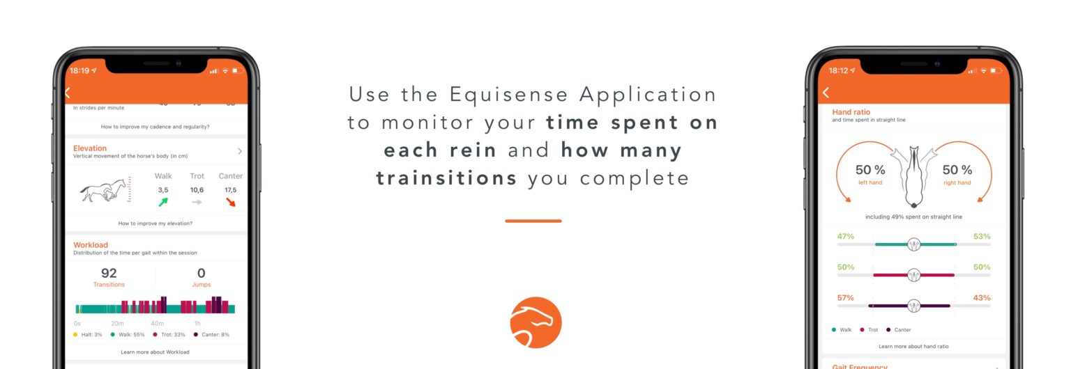 3 Exercises to Improve Your Dressage in Line with the Training Pyramid