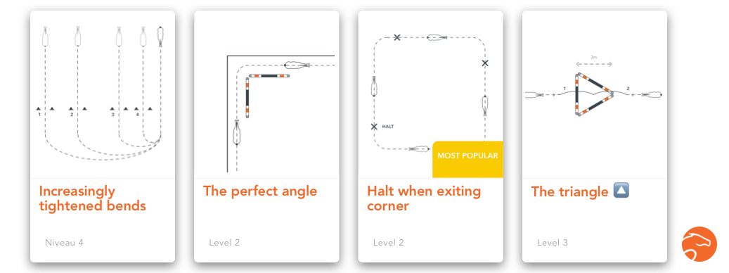 4 Exercises to Improve the Direction of Your Horse | Equisense - Blog